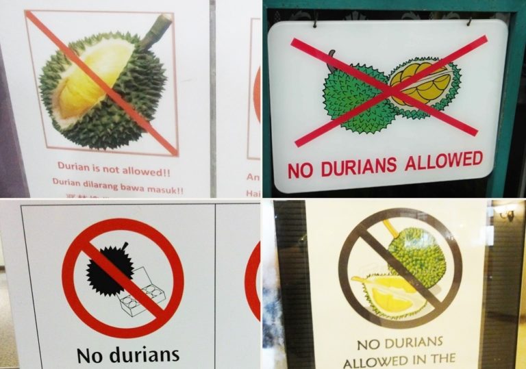 Durian: avantages et inconvénients, goût, odeur, photos, avis