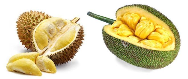 Durian: avantages et inconvénients, goût, odeur, photos, avis