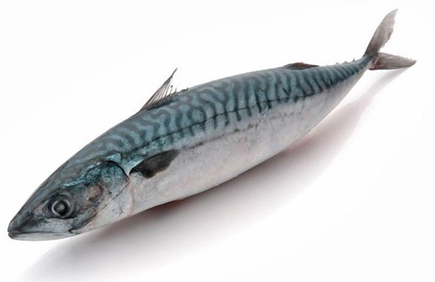 Haringa: koristi i šteta, sadržaj kalorija, svojstva, način rezanja i kuhanja